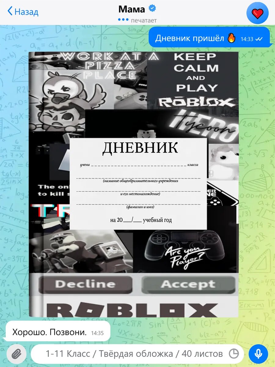 Школьный дневник с принтом Роблокс
