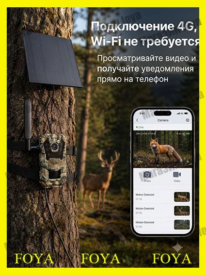 Фотоловушка — фото 1