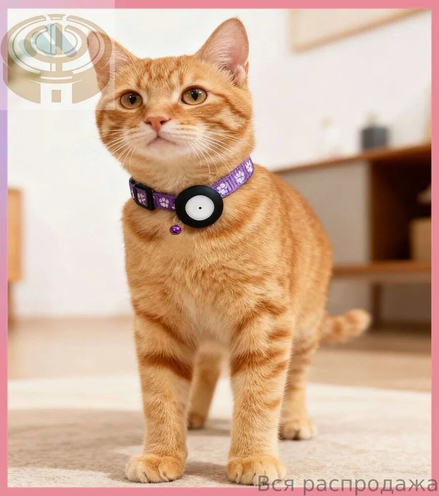 RFID-ошейник для кошек