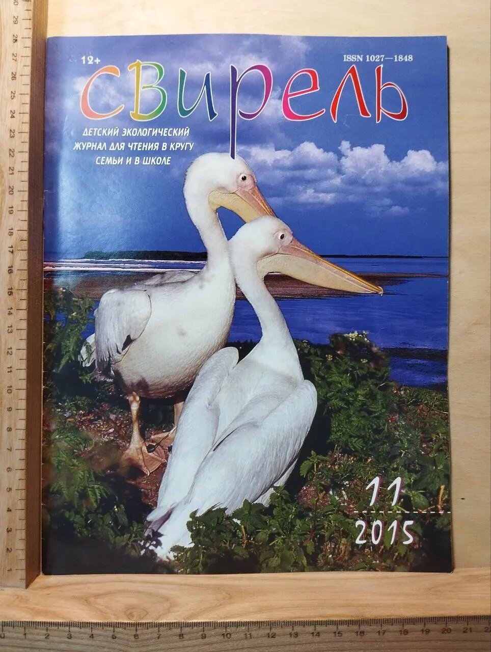 Журнал "Свирель" №11 (241) ноябрь 2015 г.