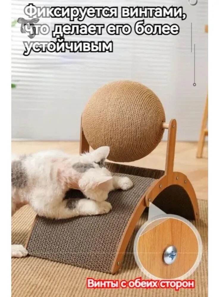 Когтеточка — фото 1