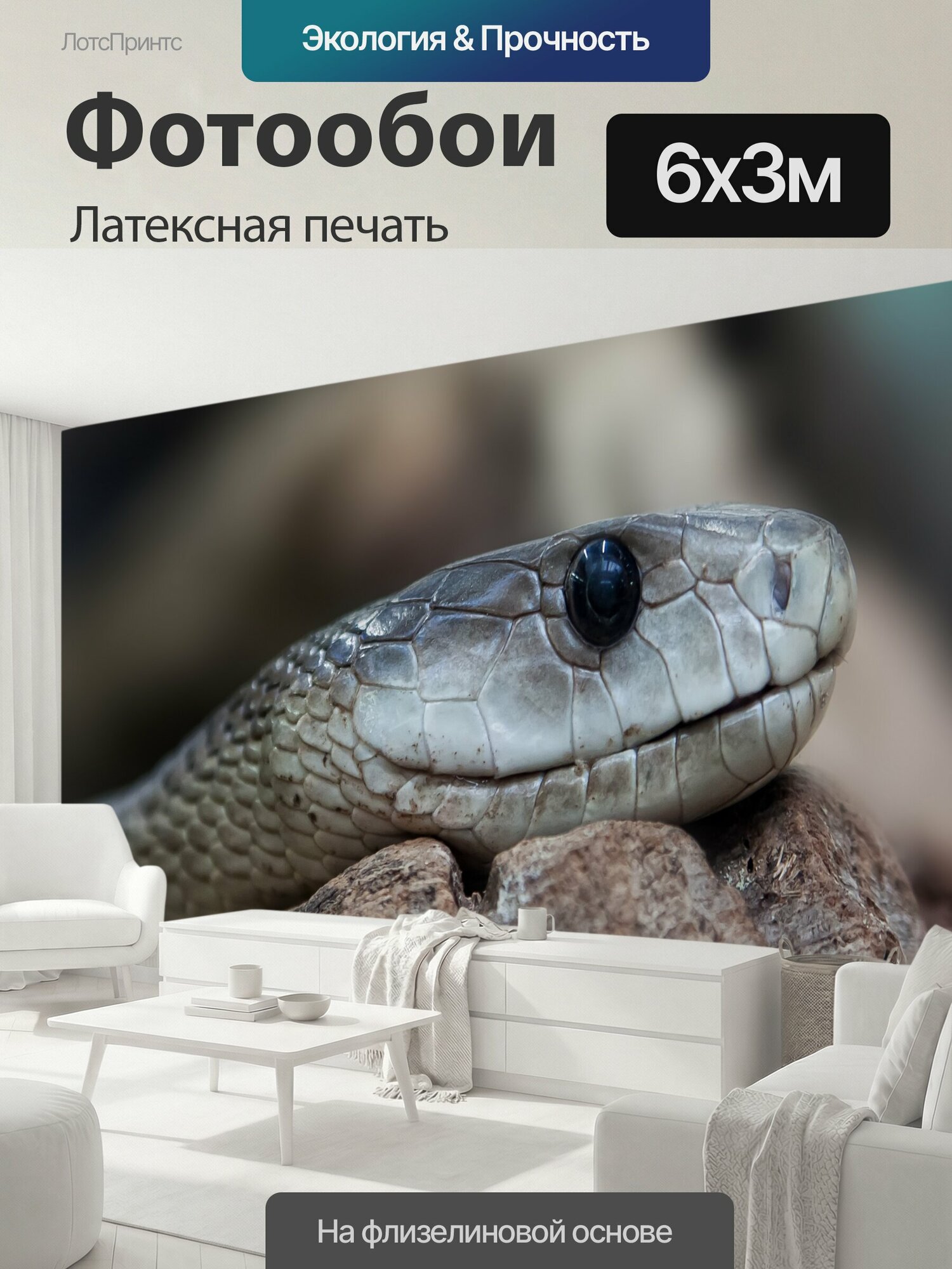 Фотообои моющиеся ударопрочные "Мамба Viper Змея, ядовитая, опасный, террариум, гадюка, опасность, животное, тварь, подарок, погремушки, рептилии." 600x300 см. латексная печать