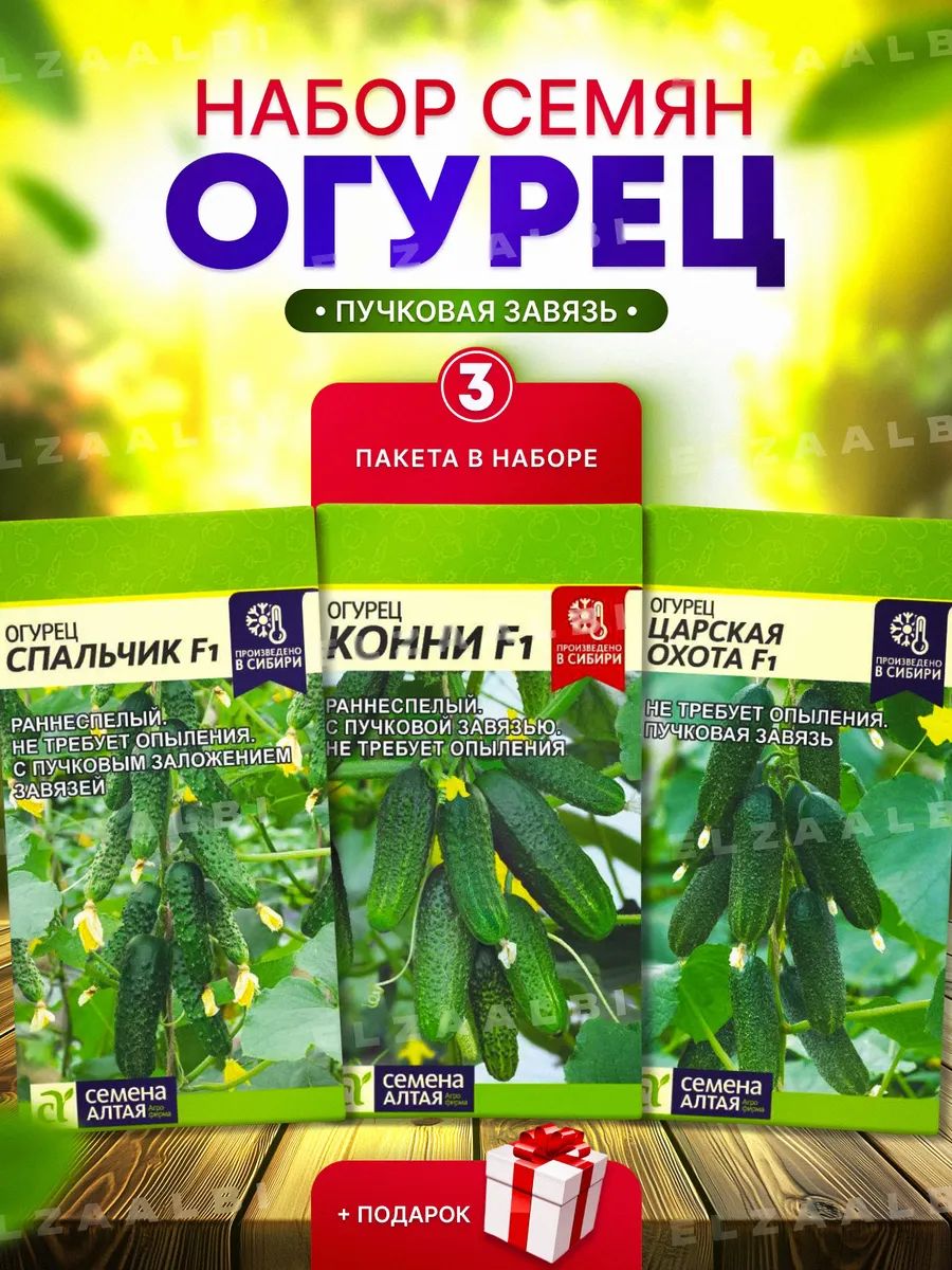 Набор семян огурцов: Конни, Спальчик, Царская Охота