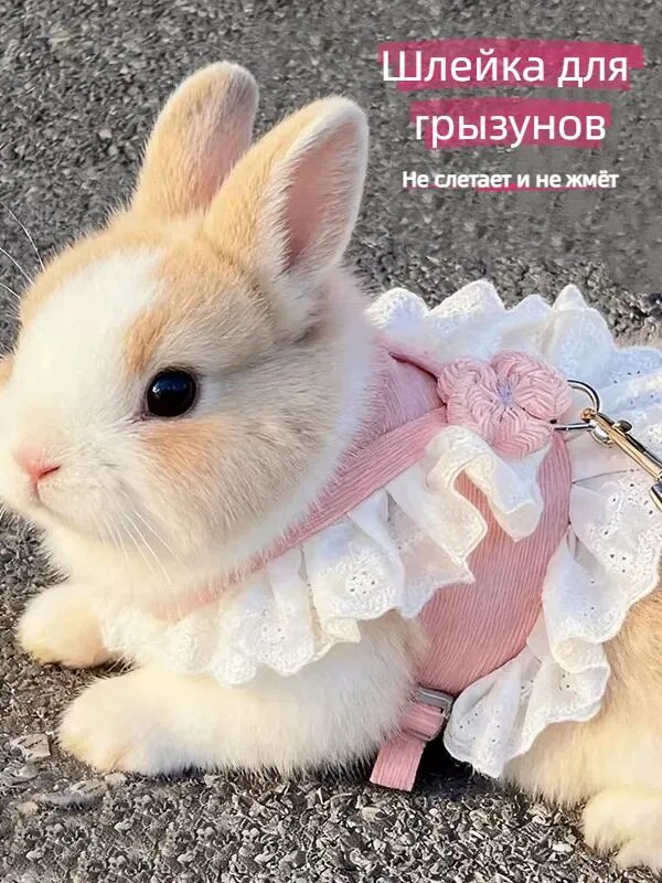 Хвостики / Шлейка для грызунов : кроликов, шиншил, харьков, S, розовый