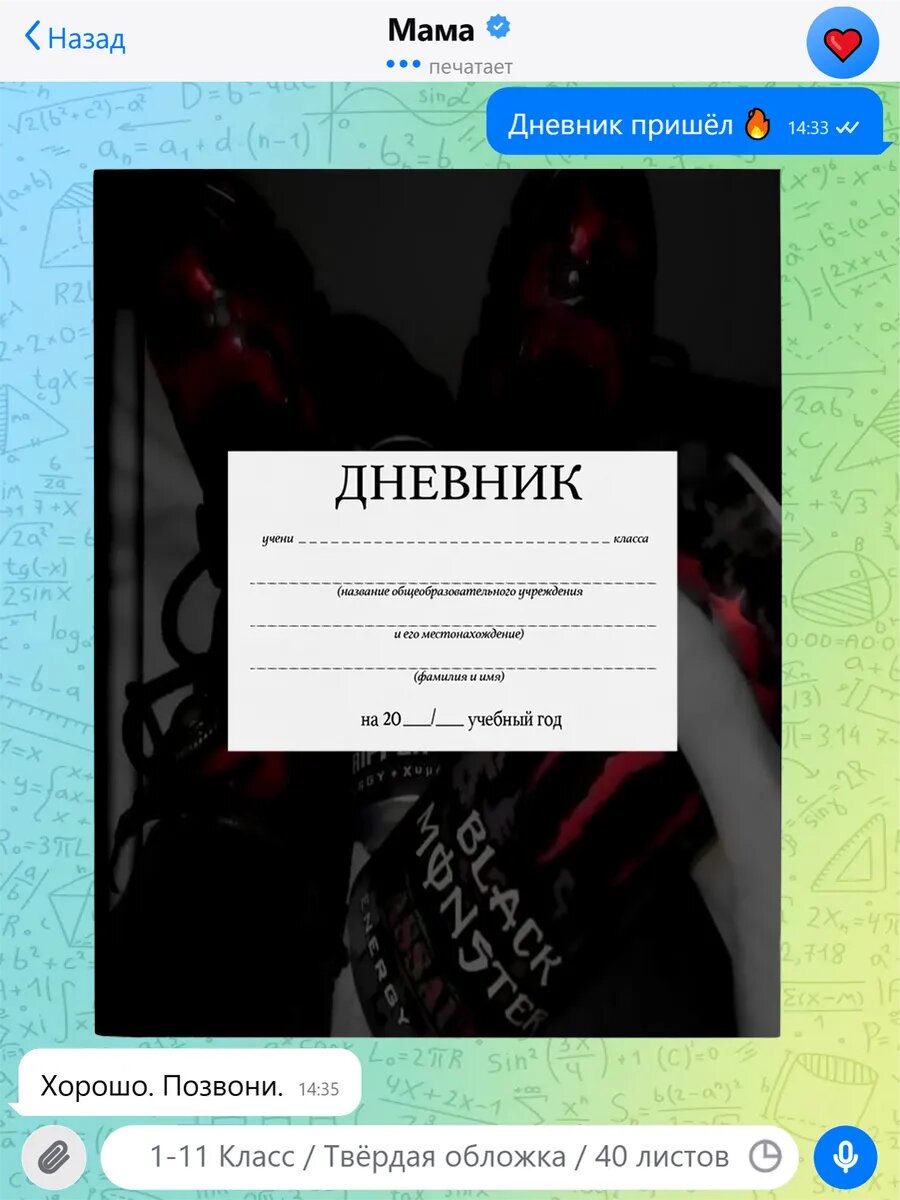 Школьный дневник с принтом Роблокс