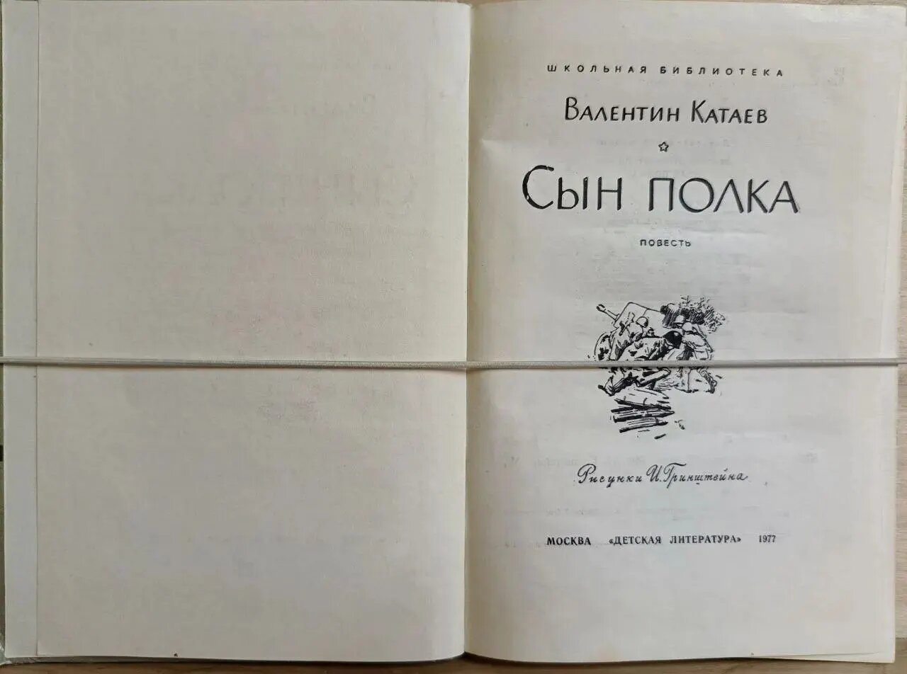Сын полка — фото 1
