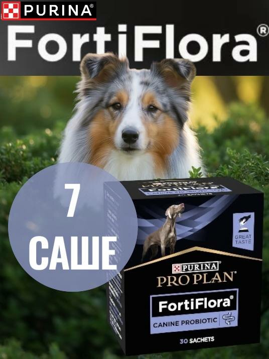 Фортифлора плюс пребиотик для собак PRO PLAN FortiFlora 7 саше