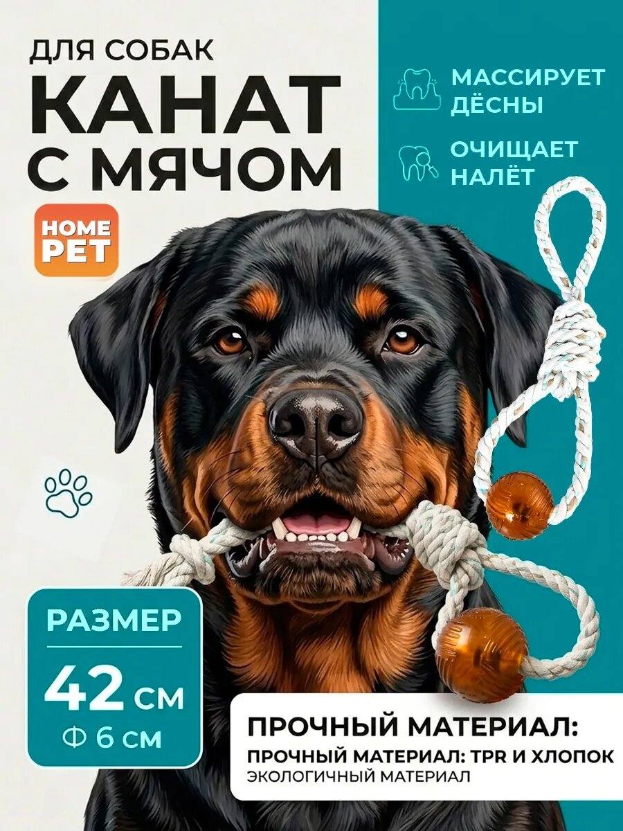 Игрушка HOMEPET TPR, мяч на канате, для активных игр собак, 6см x 42см