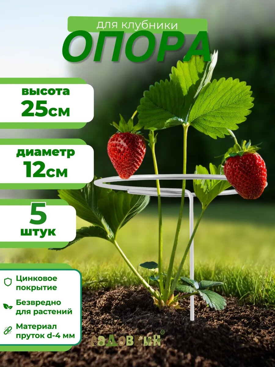 Опора для клубники, оцинкованная d-0,12м, h-0,25м (5шт)