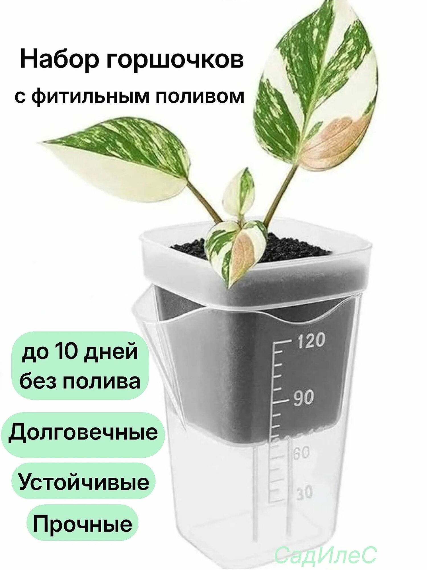 Вазон, 20 шт
