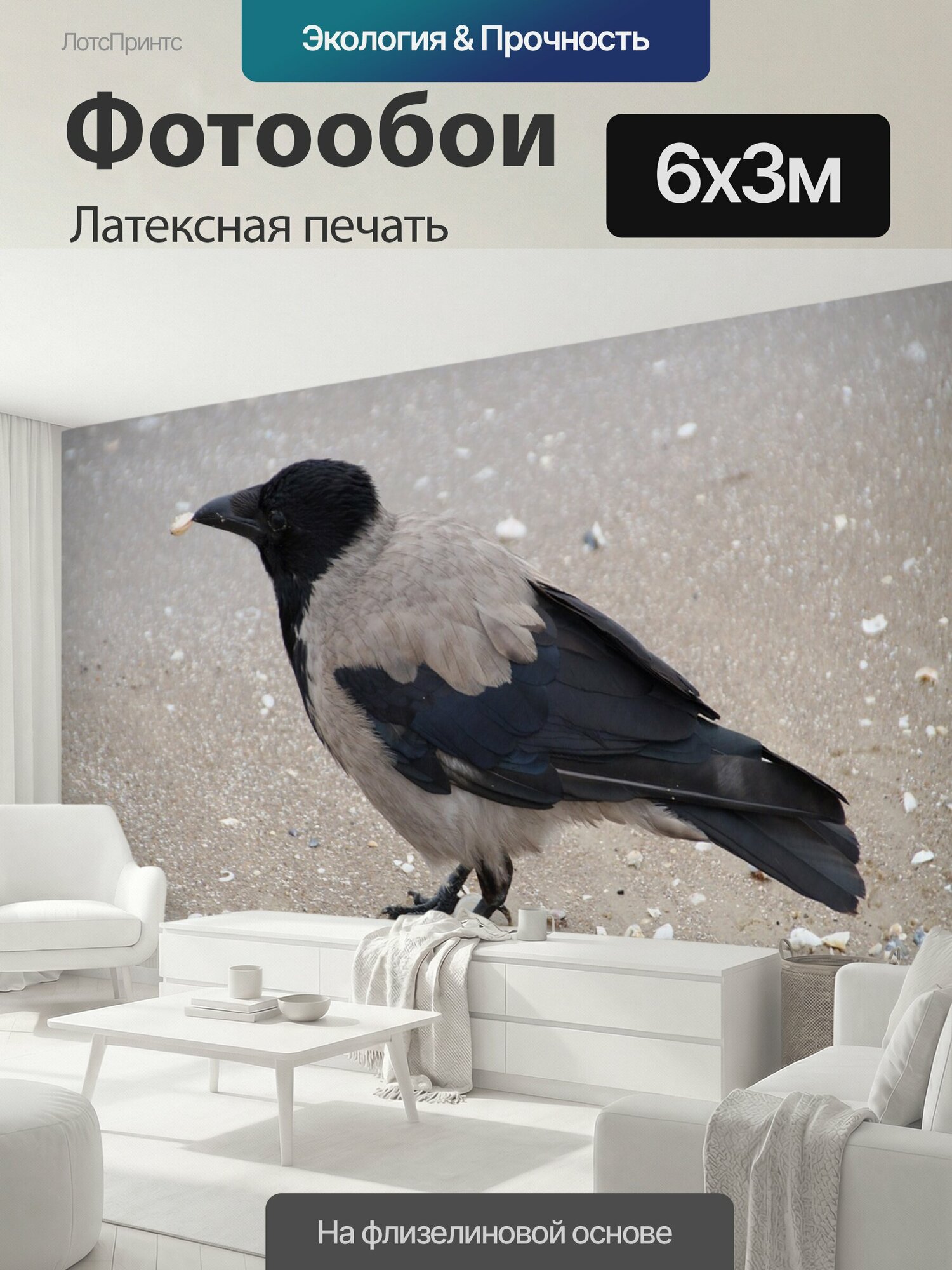 Фотообои моющиеся ударопрочные "Ворона, серая ворона, пляж" 600x300 см. латексная печать