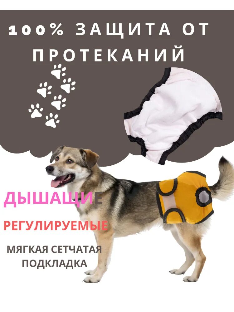 Трусы гигиенические для собак при течке, многоразовые, непромокаемые, с впитывающей подкладкой