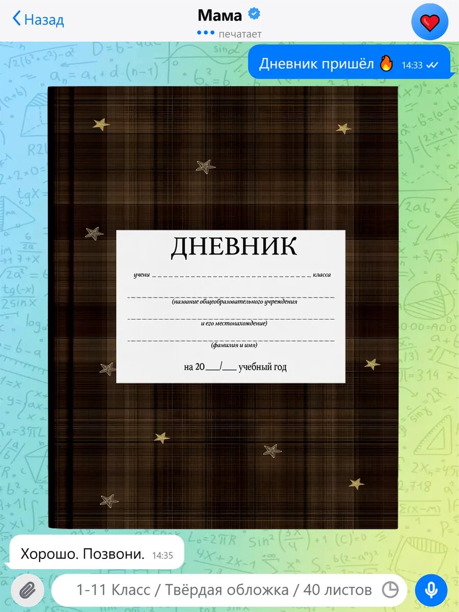 Школьный дневник с принтом y2k pinterest