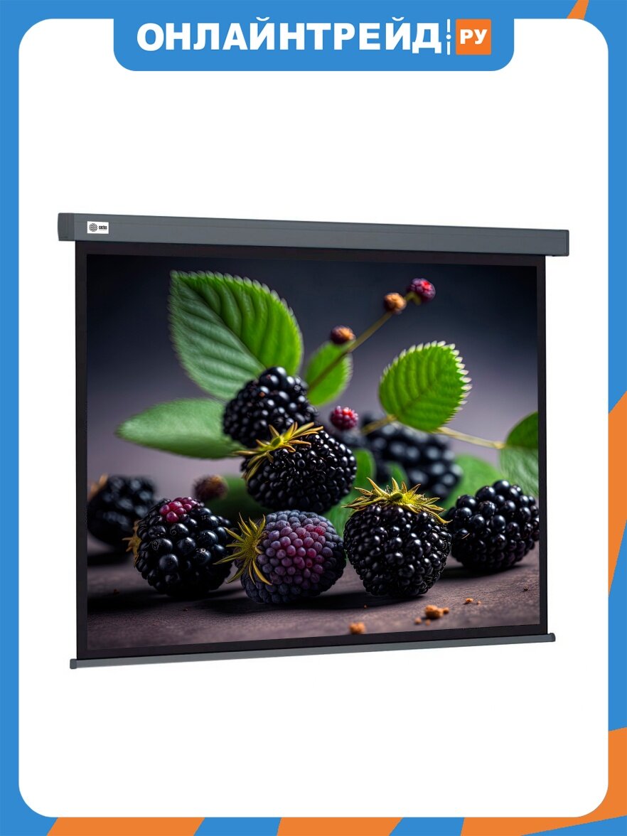 Экран Cactus 127x127см Wallscreen CS-PSW-127X127-SG 1:1 настенно-потолочный рулонный серый