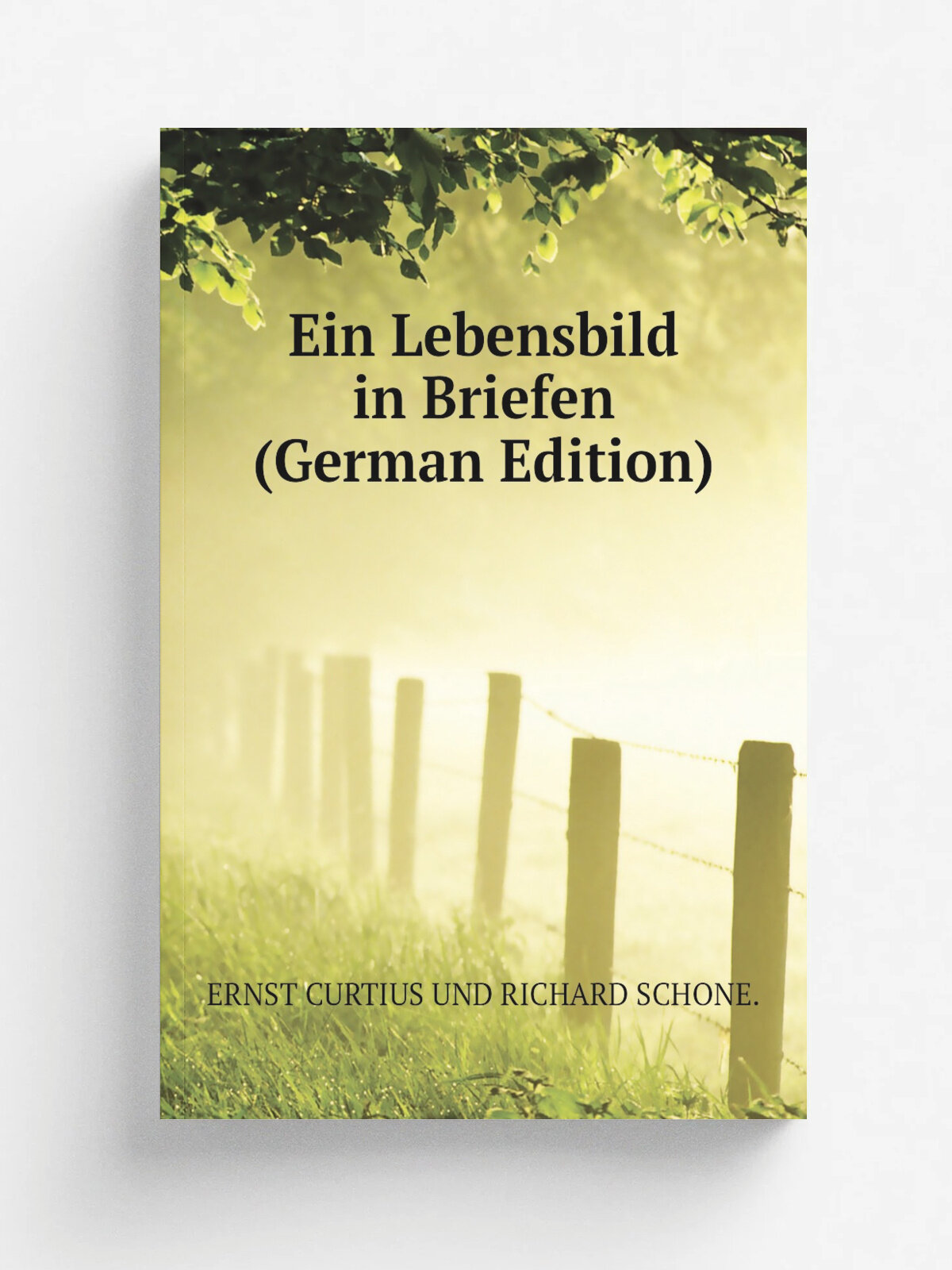 Ein Lebensbild in Briefen (German Edition) | Curtius Ernst | Репринт