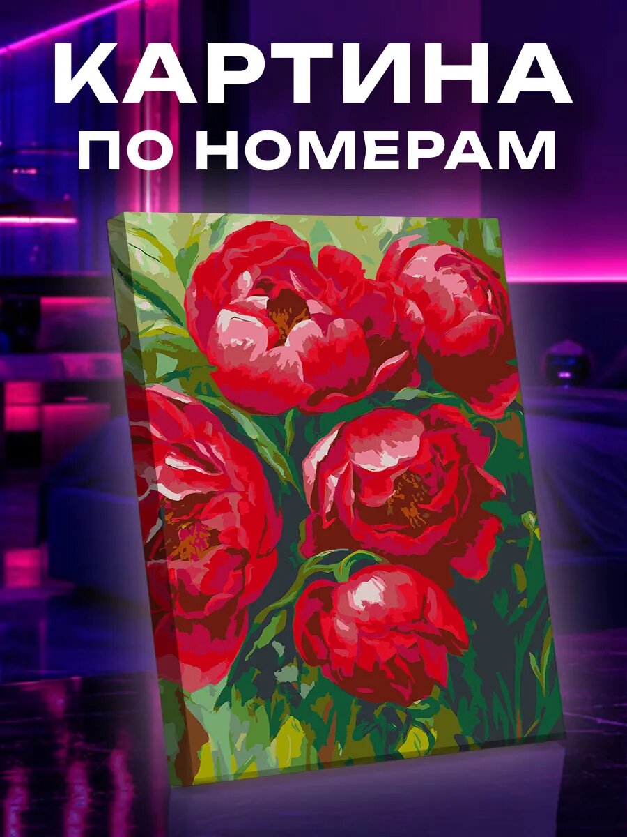 Картина по номерам Пионы