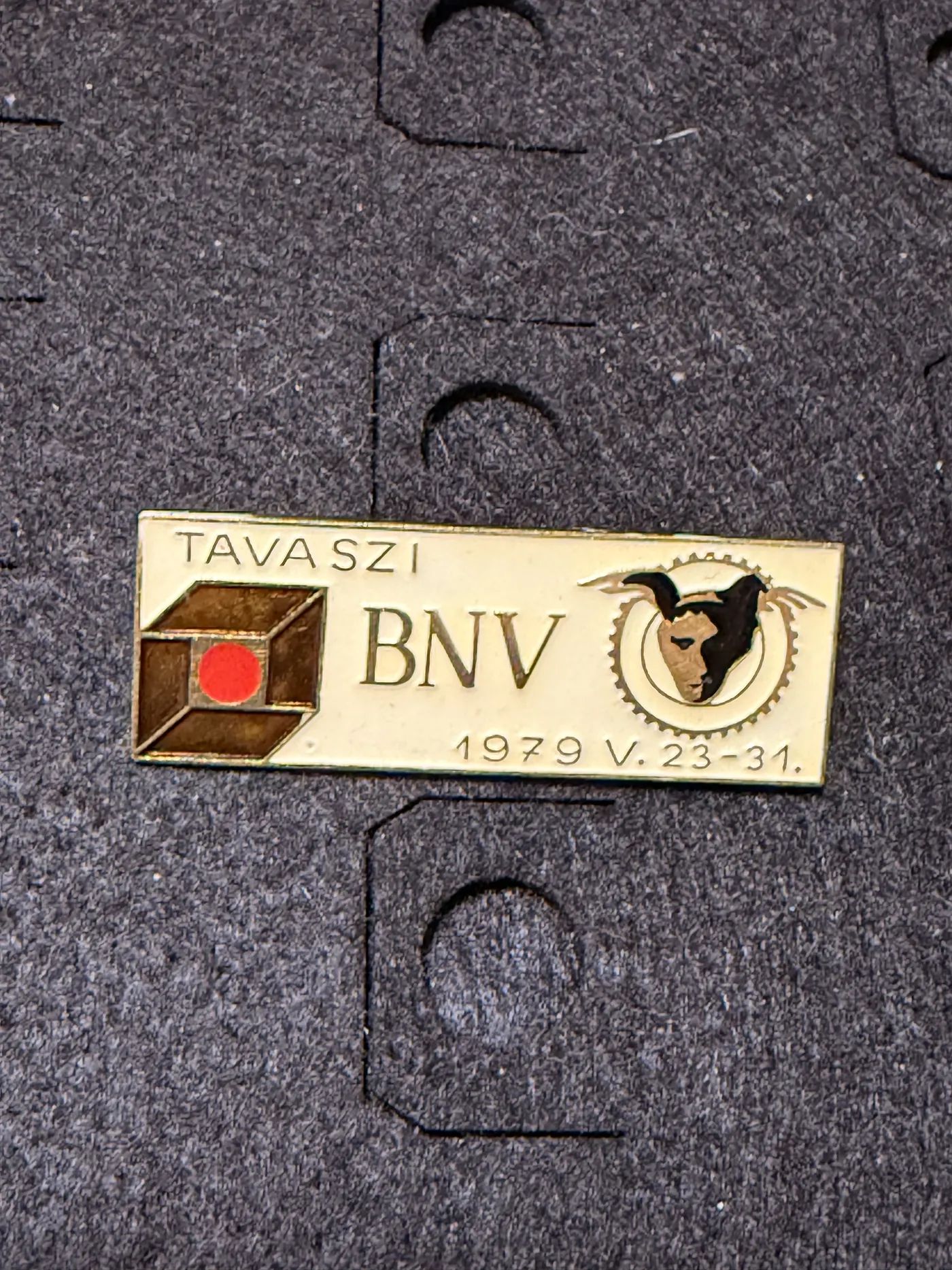 Значок BNV 1979 TAVASZI
