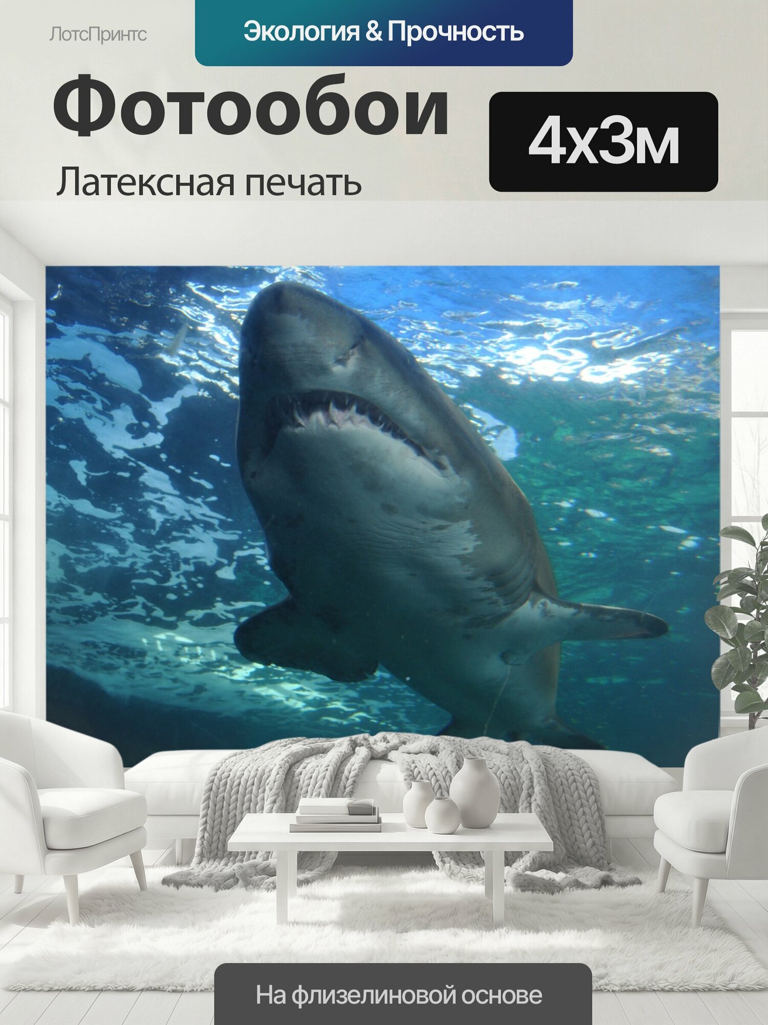 Фотообои моющиеся ударопрочные "Акула, море, океан" 400x300 см. латексная печать