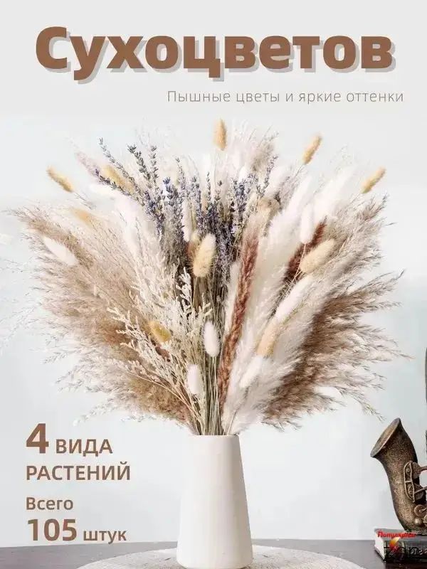 Сухоцветы 43 см 1 шт разноцветный