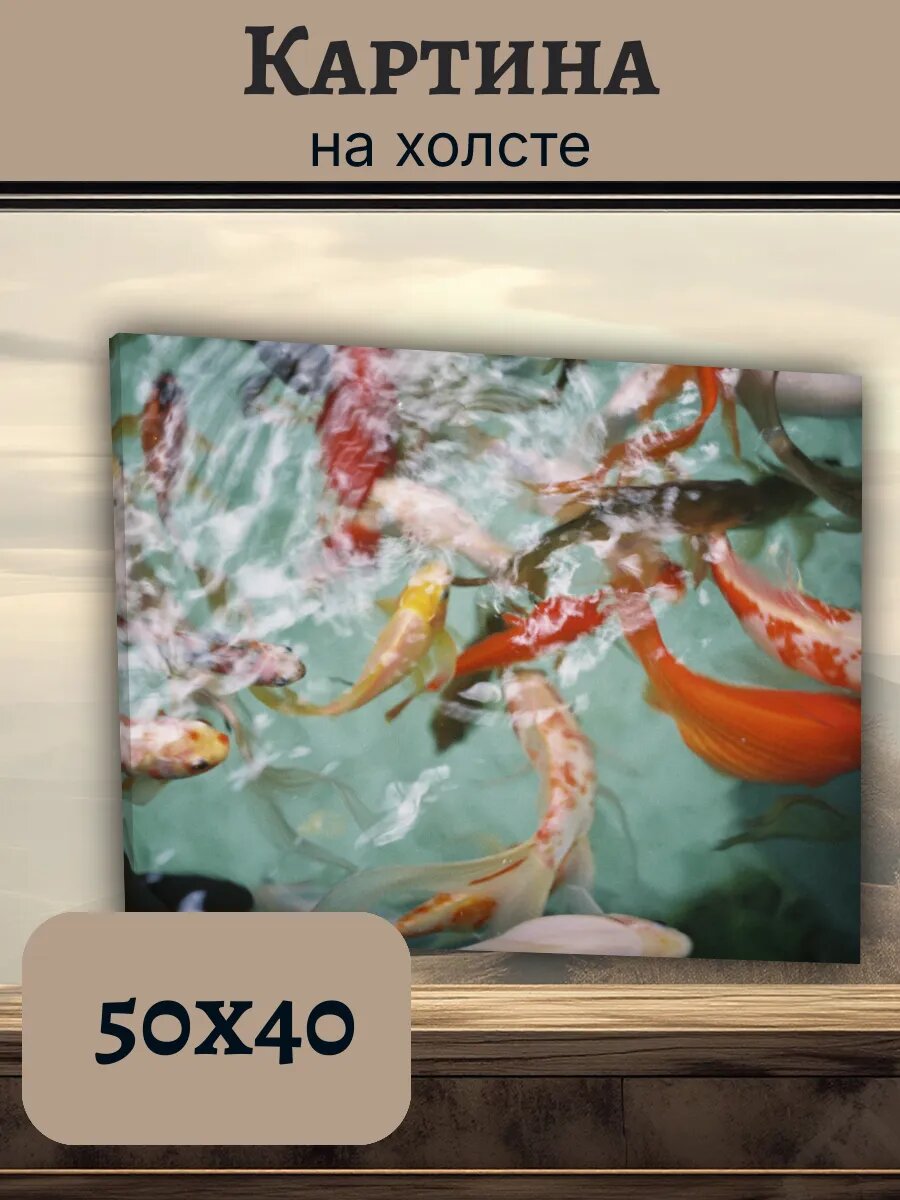 Картина Постер Китай China 40x50 с рыбами кои