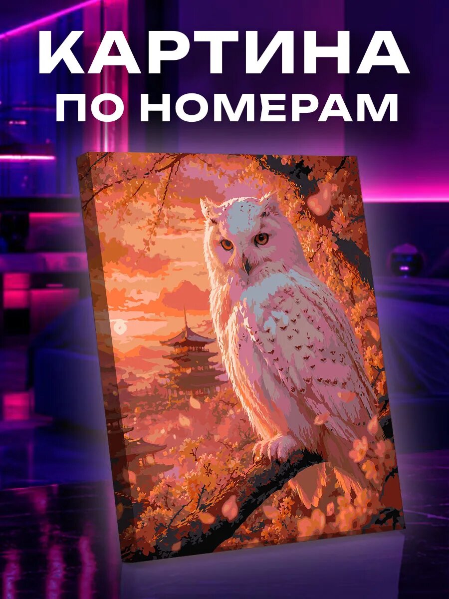 Картина по номерам Белая сова среди сакуры
