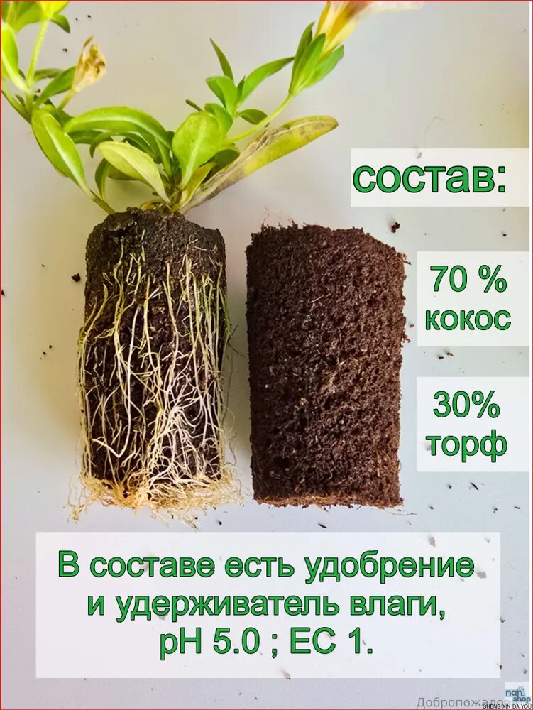 Таблетки торфяные — фото 1
