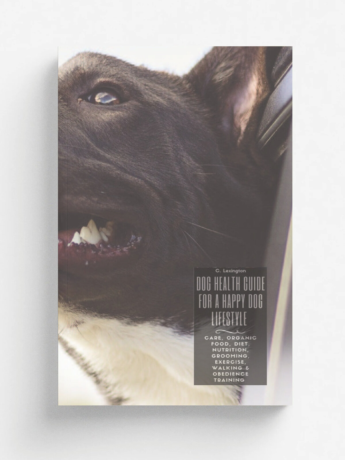 Dog Healthy Guide For A Happy Dog Lifestyle. Care, Organic Food, Diet, Nutrition, Grooming, Exercise, Walking & Obedience Training