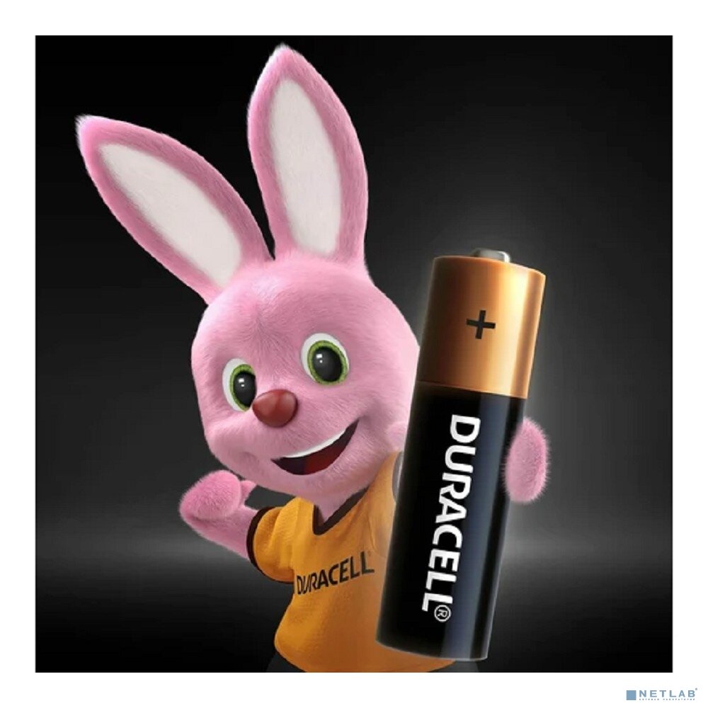 DURACELL LR6-12BL BASIC (12 шт. в уп-ке) — фото 1