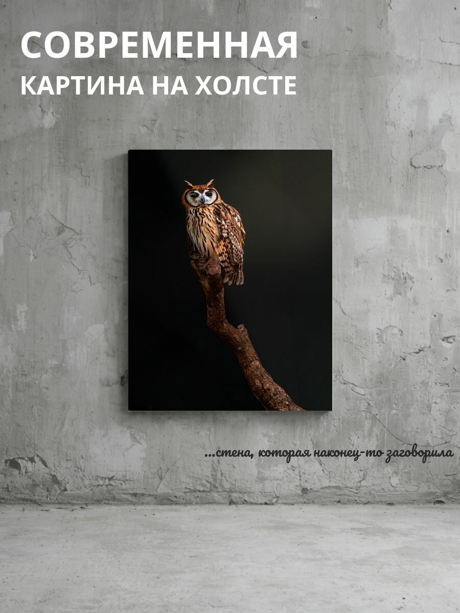 Картина на холсте Сова 40x60 см