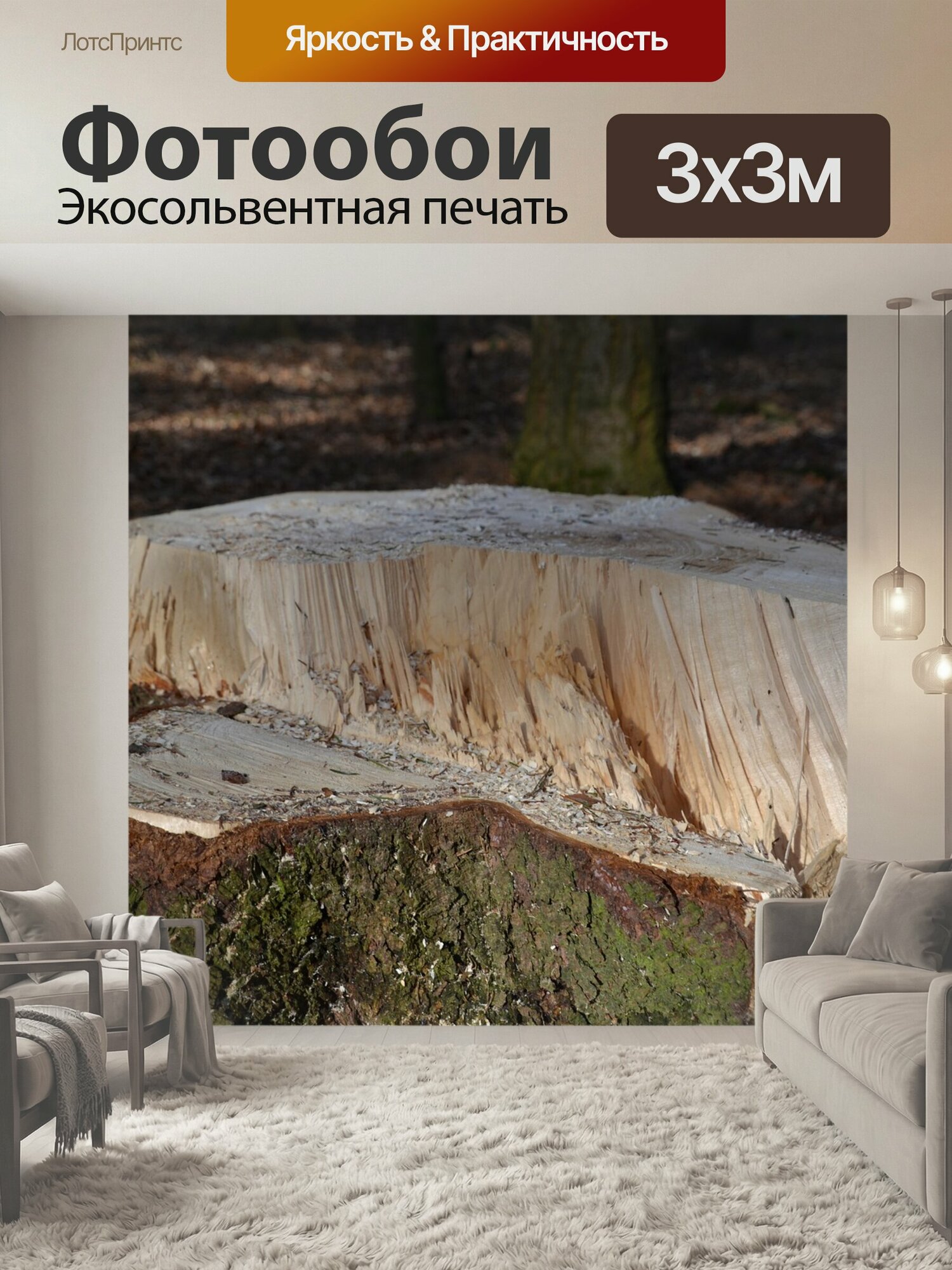 Фотообои "Лес, древесина, ствол дерева" 300x300 см. экосольвентная печать