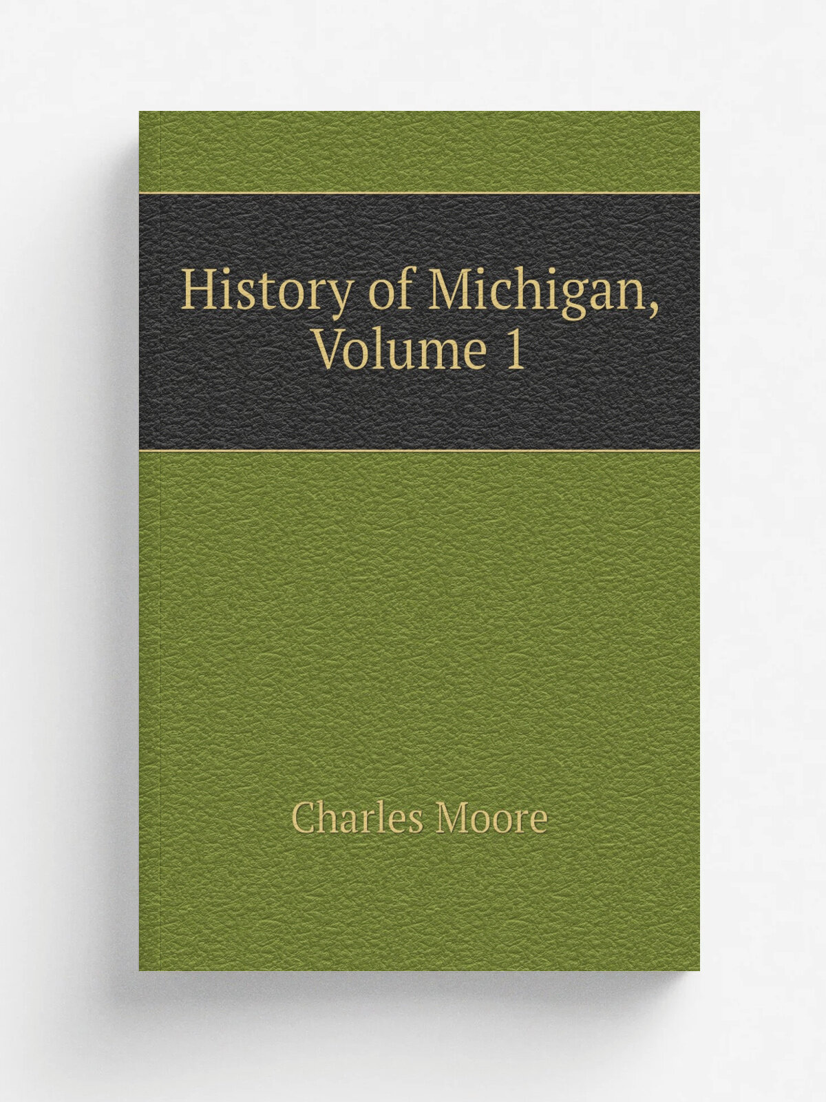 History of Michigan, Volume 1