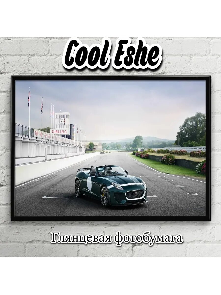 Постер "Jaguar F-Type, на гоночной трассе" из коллекции "Автомобили" А3