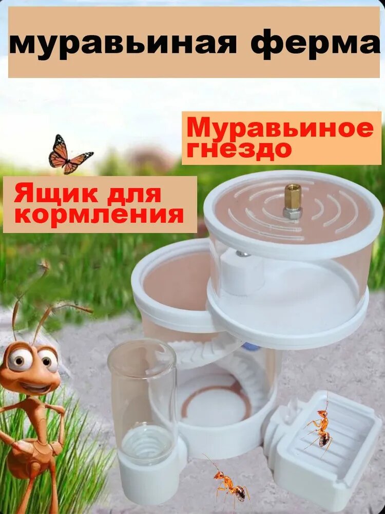 Mуравьиная ферма , Муравьиное гнездо в форме чашки, Ящик для разведения муравьев