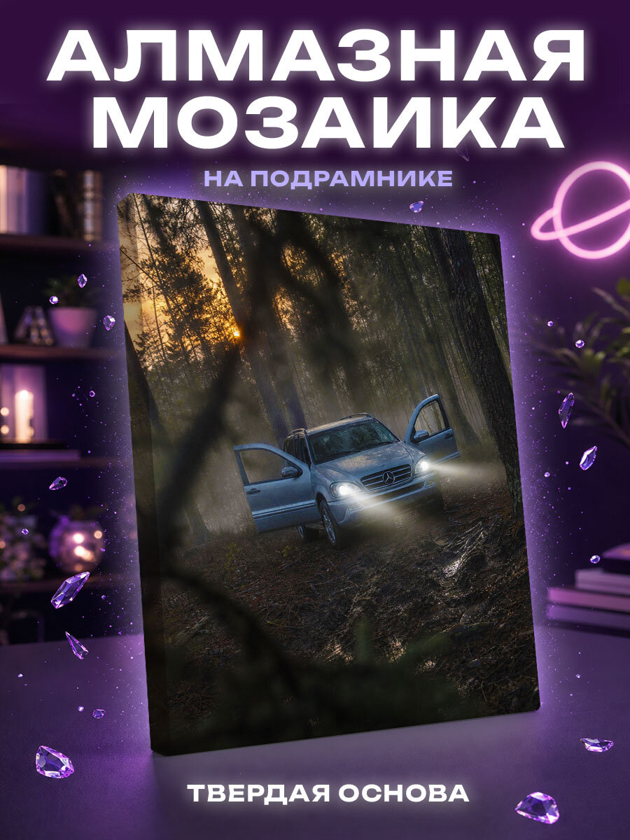 Алмазная мозаика Исчезновение в сибирском лесу