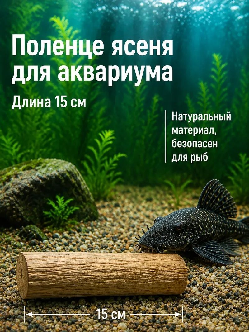 Натуральное полено из ясеня для аквариума корм для сомов, декор и естественный фильтр, длина 15 см, диаметр 1-2 см.