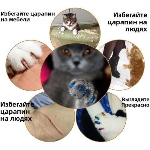 Антицарапки 40 штук, мягкие защитные колпачки на когти для кошек и котят L