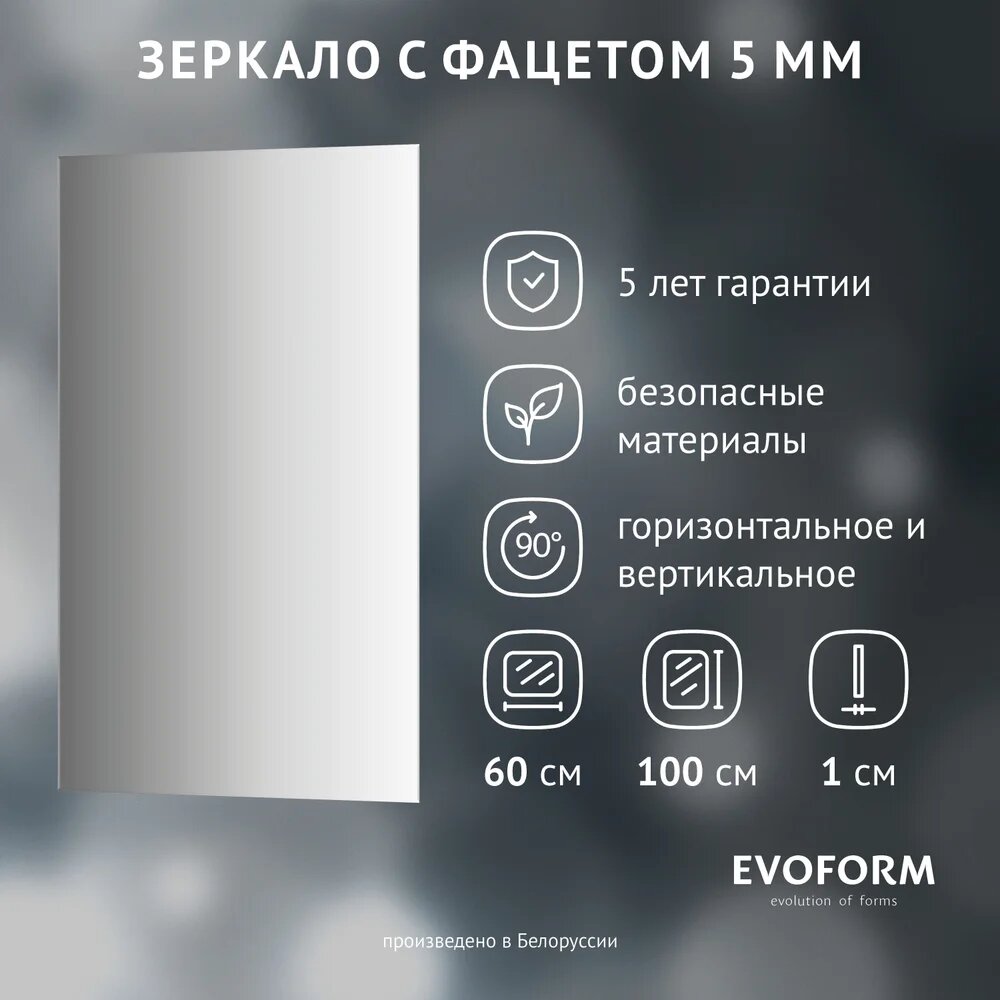 Зеркало Evoform Standard BY 0232 60х100 60 см, зеркало настенное в ванную