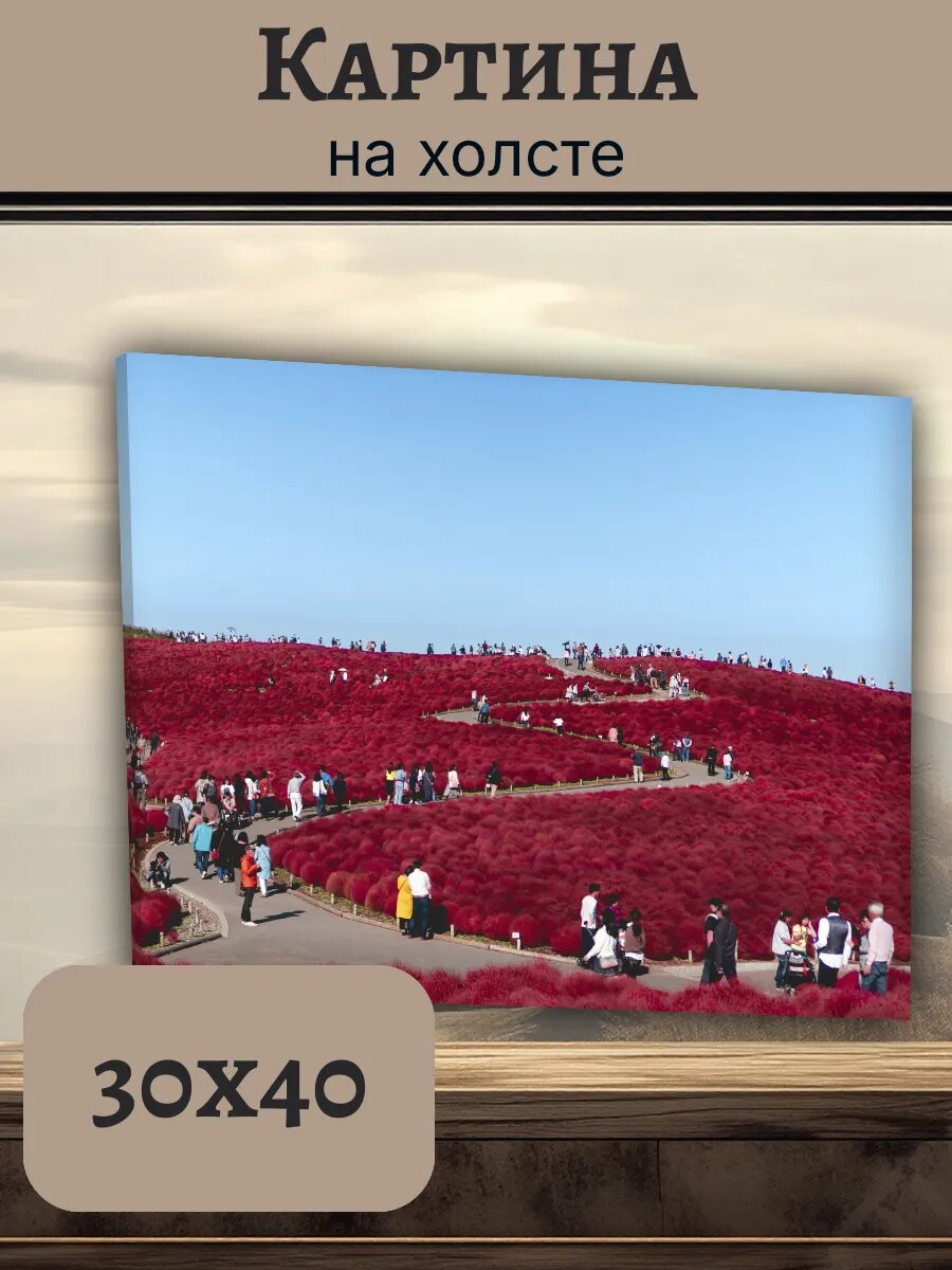 Картина Япония Japan 30x40 осенний пейзаж с кохией