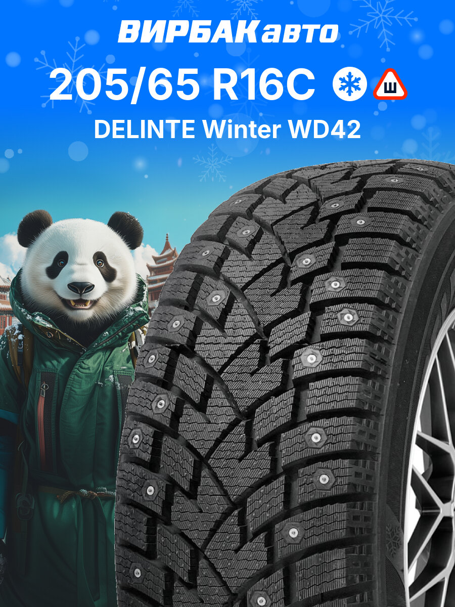 Зимние шины DELINTE Winter WD42 205/65R16C 107/105R, зимняя автомобильная резина