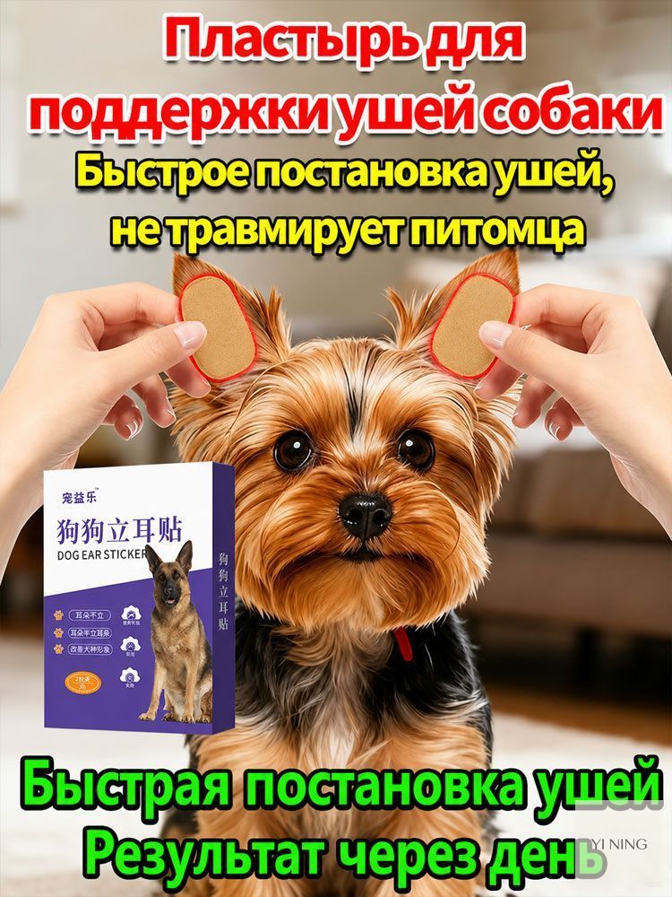 Пластырь для постановки ушей собакКоррекция ушей собаки, Артикул: 5595961989