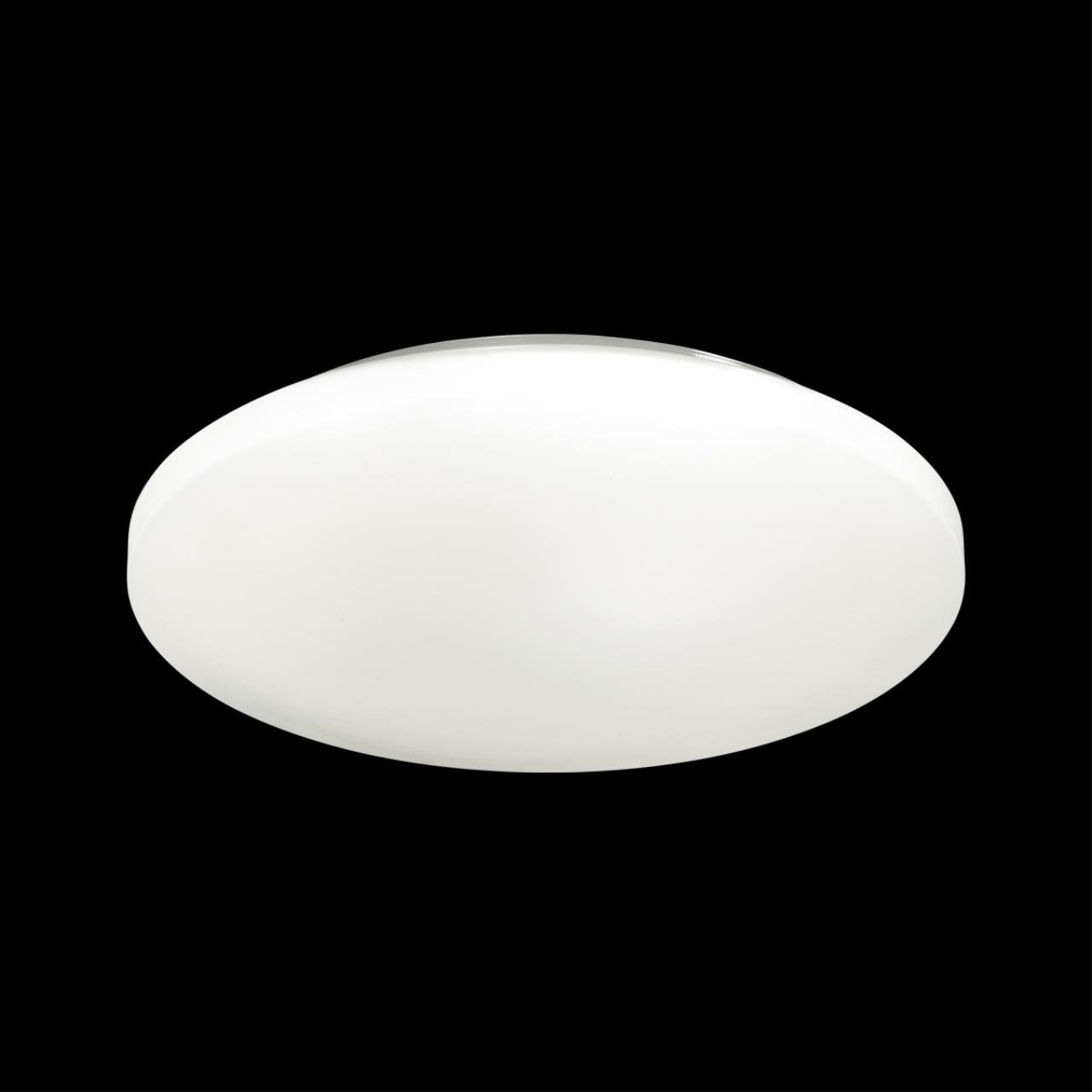 3017/DLN PALE SN 218 Светильник пластик/белый LED 48Вт 3000/4000/6000К D400 IP43 CCT SIMPLE