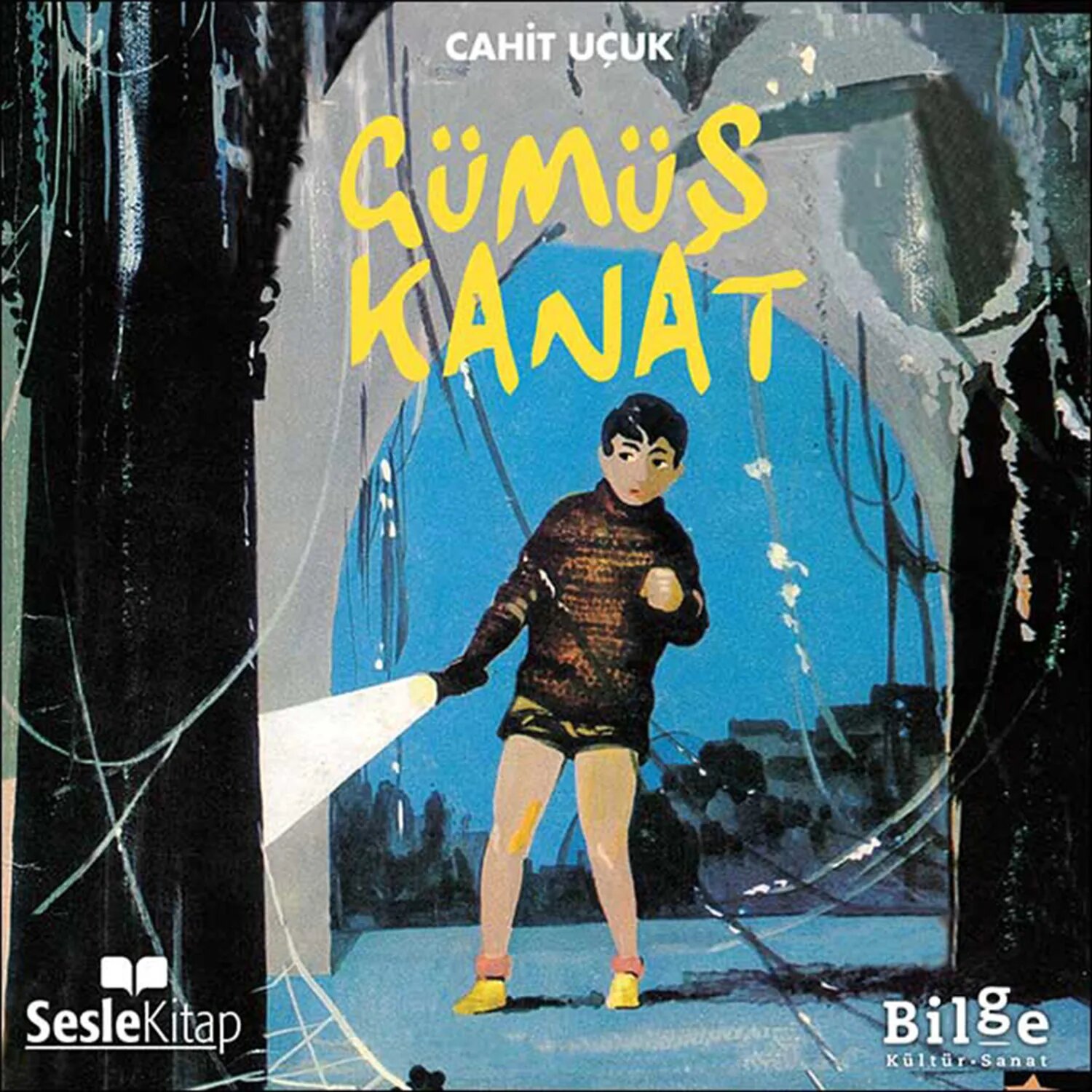 Gümüş Kanat [Аудиокнига]