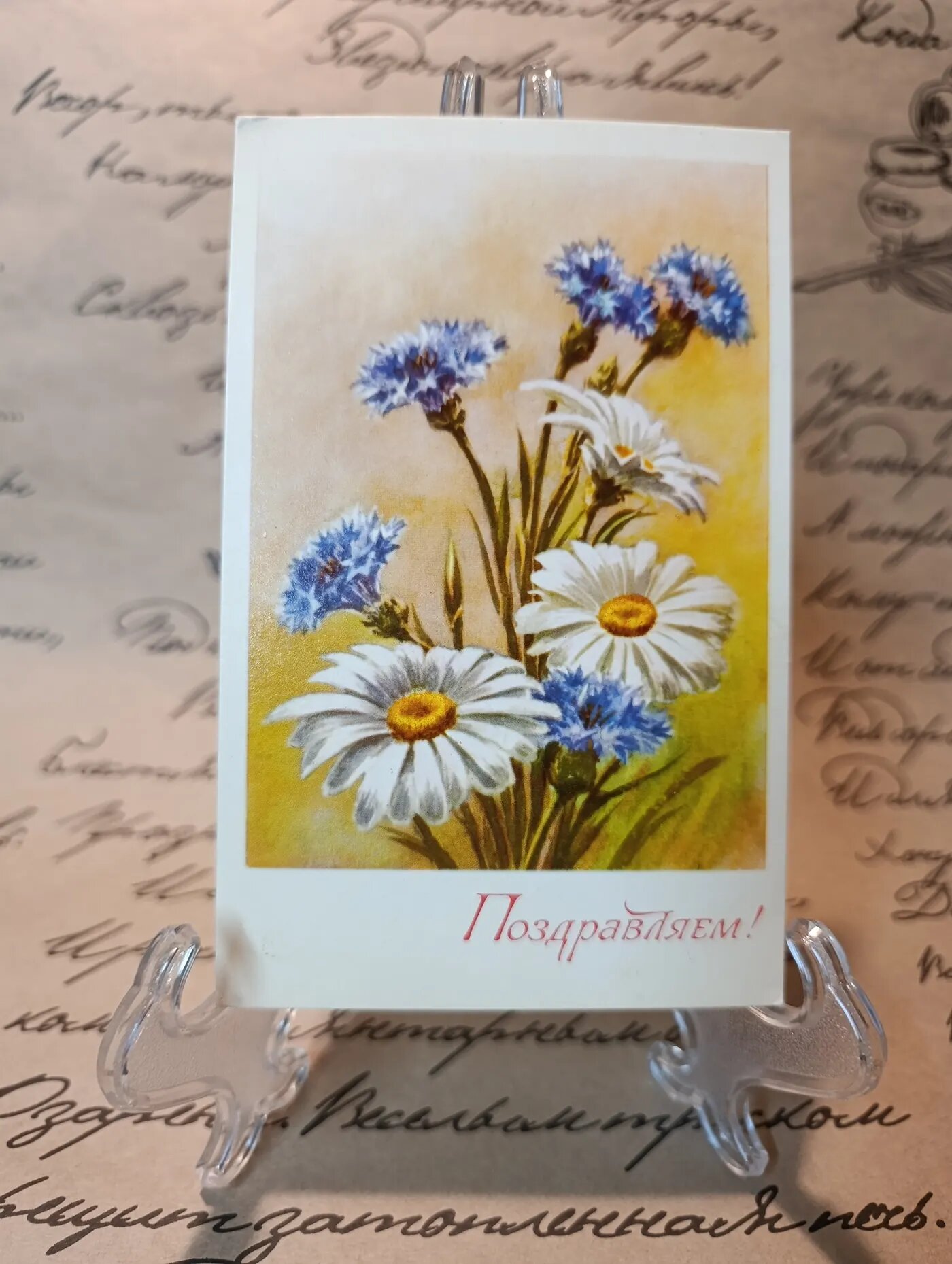 Винтажная открытка "Поздравляем!" (Ромашки и васильки, худож. В. Попов, 1976)