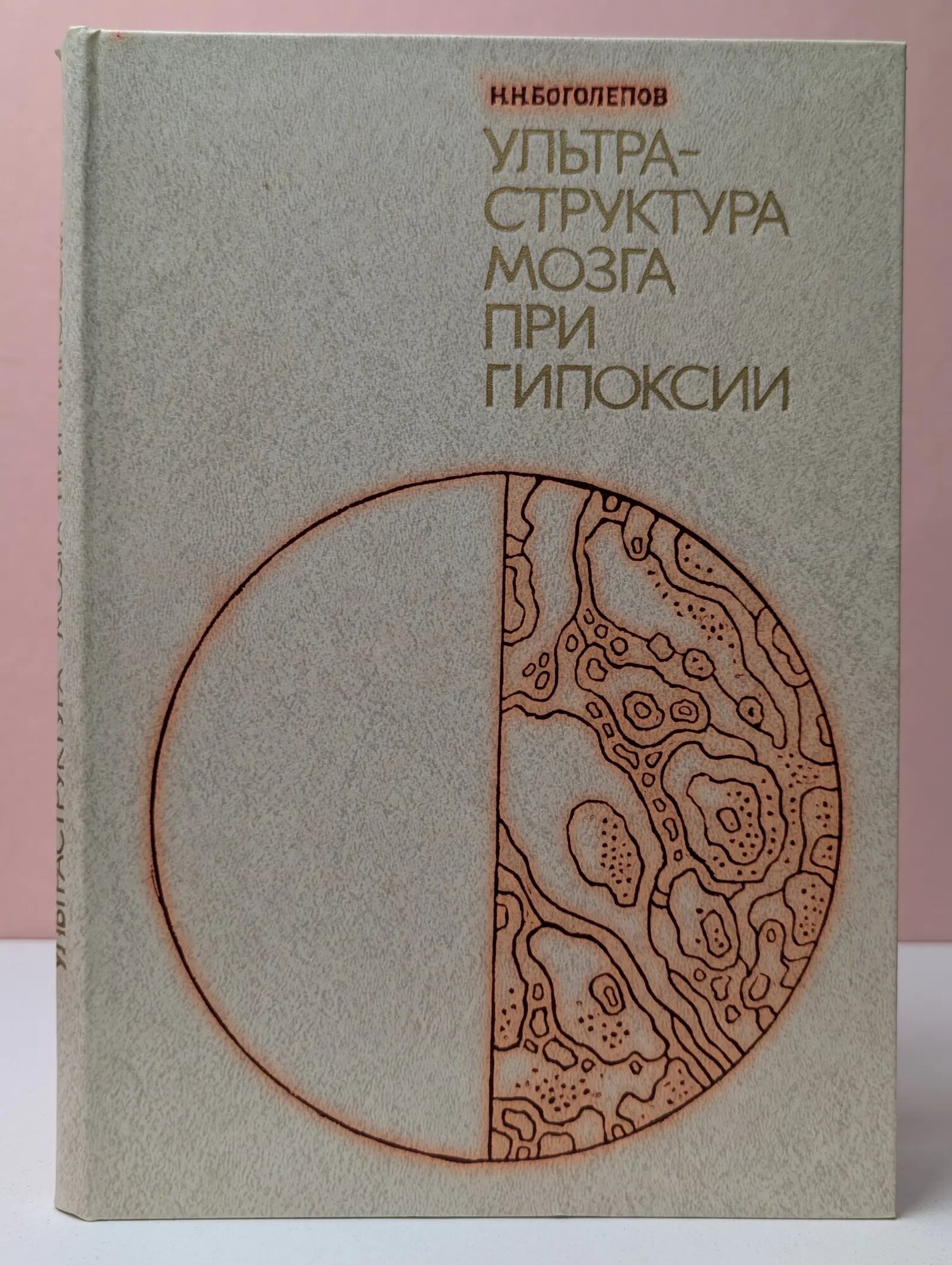 Ультраструктура мозга при гипоксии Боголепов Николай Николаевич 1979