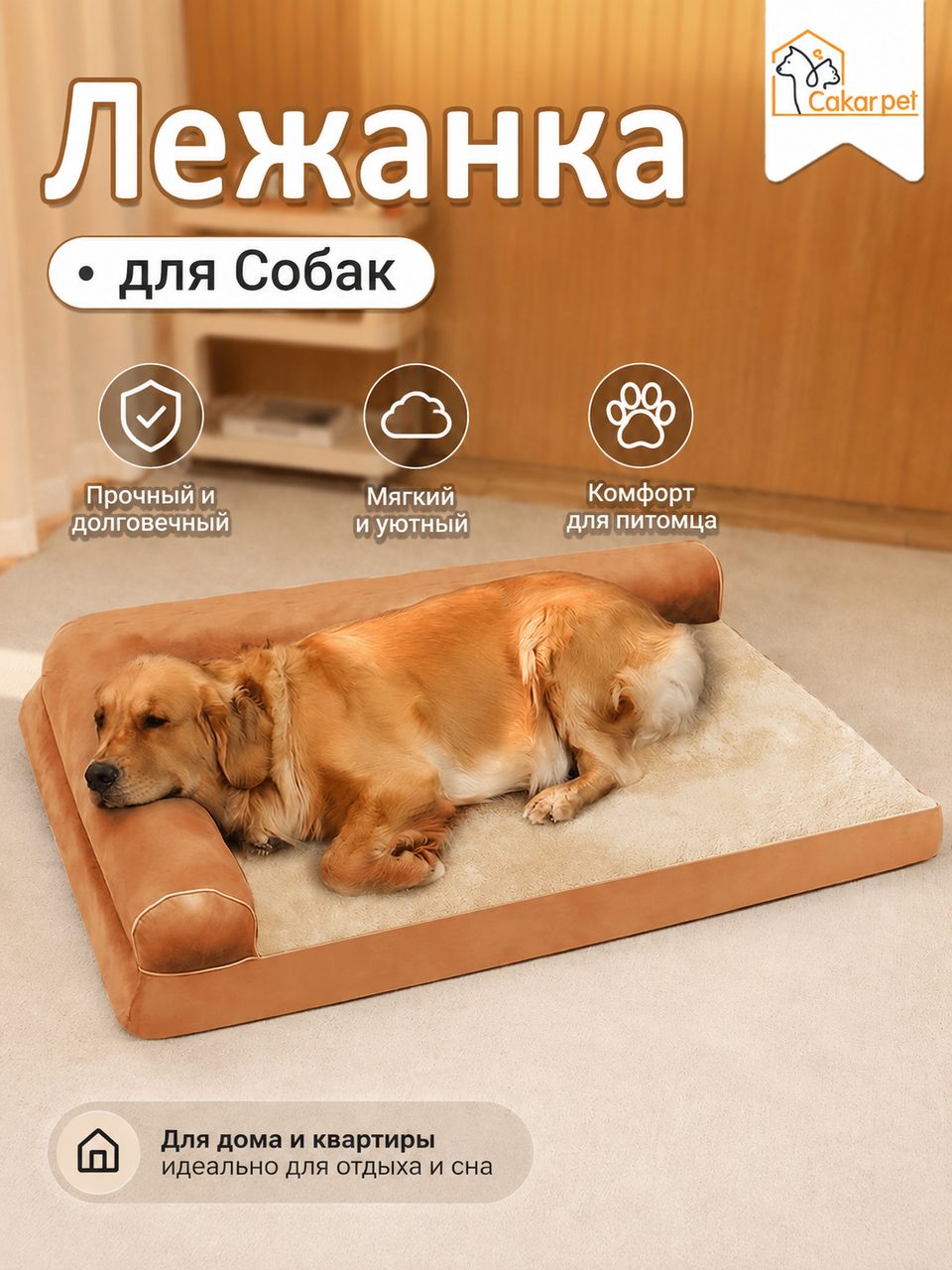 Эксклюзивный антивандальный диван для крупных кошек и собак, габариты 100x60x19 см