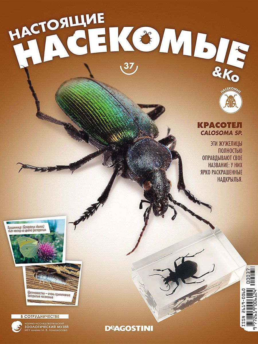 Журнал " Насекомые" №037. Увлекательный мир насекомых и членистоногих . Журнал с вложением