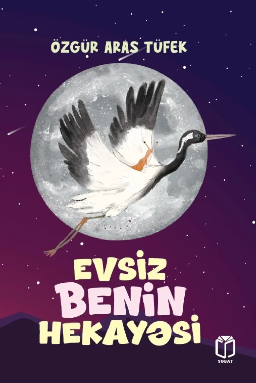 Evsiz Benin hekayəsi [Цифровая книга]