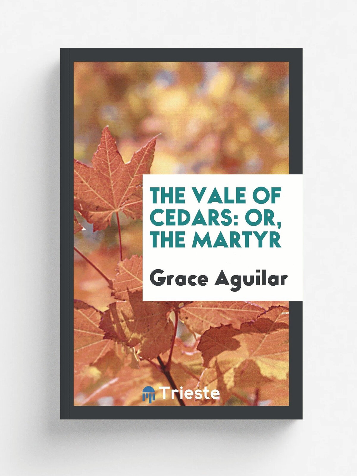 The Vale of Cedars. Or, The Martyr