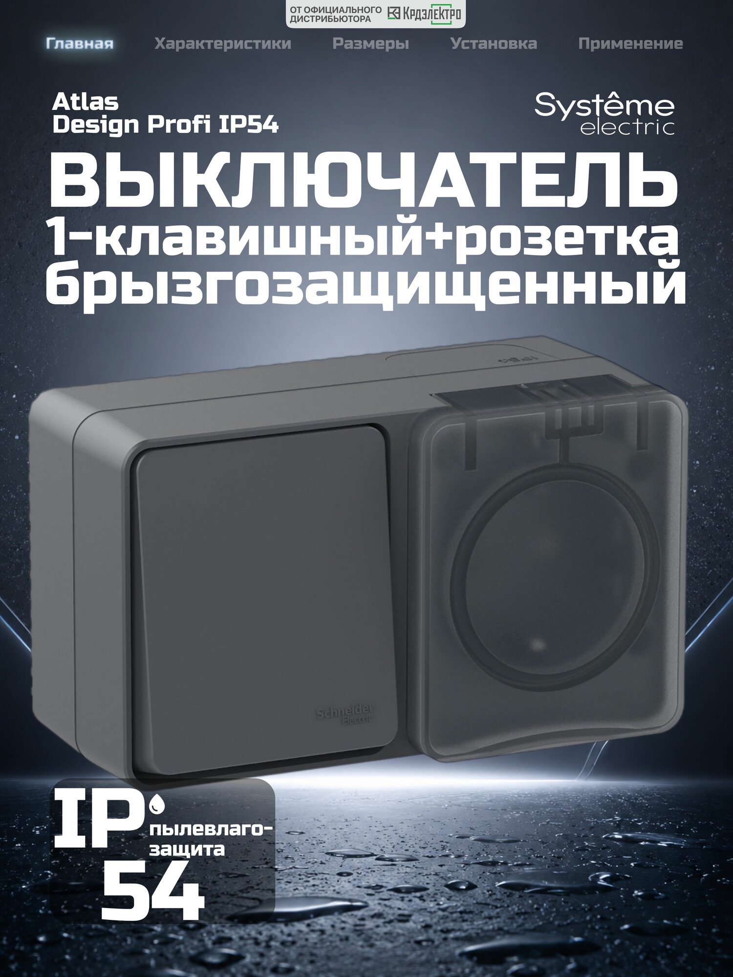 Розетка накладная с выключателем 1кл, с крышкой AtlasDesign Profi54 Systeme Electric ATN544070