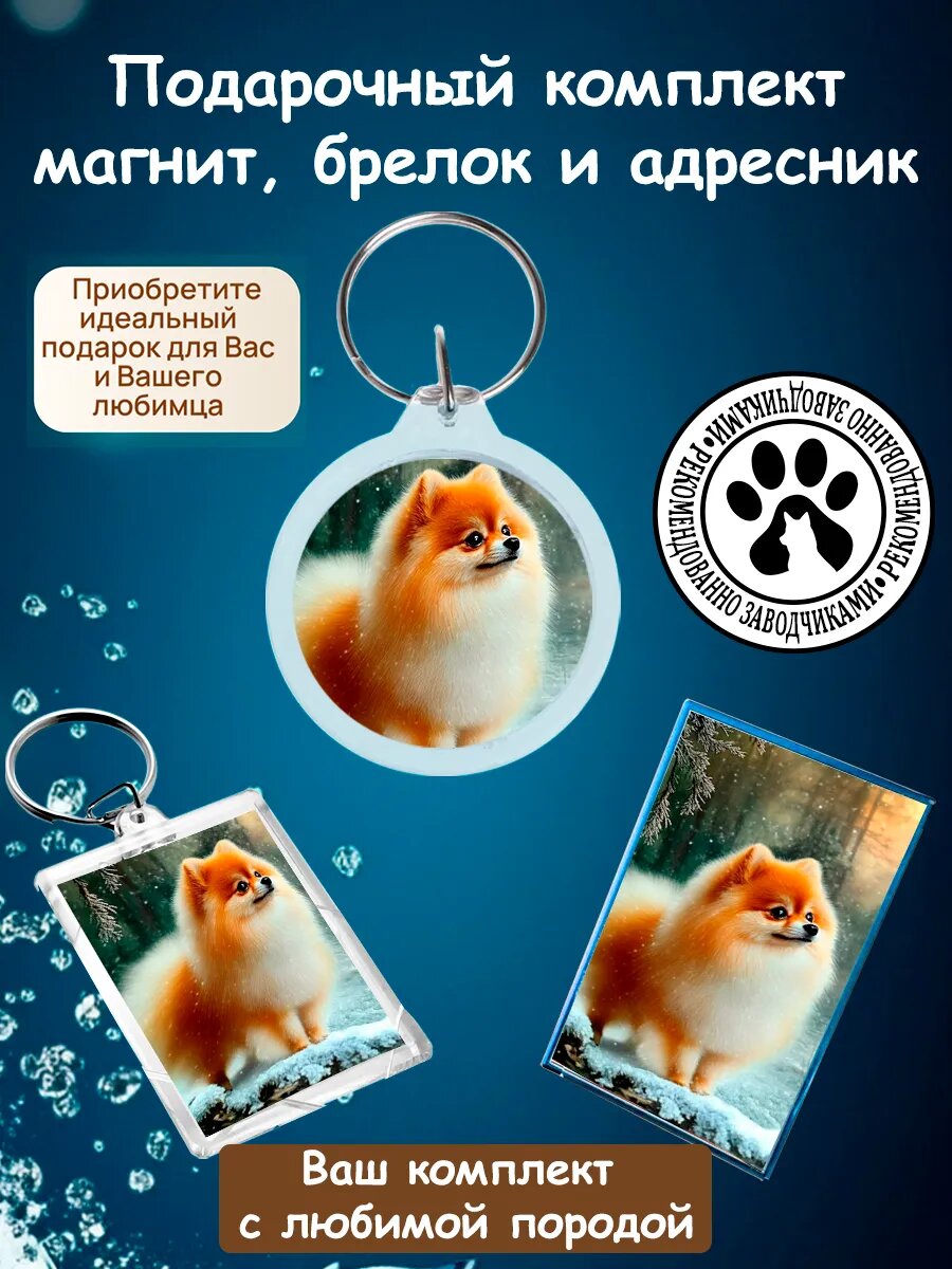 Подарочный комплект магнит брелок адресник